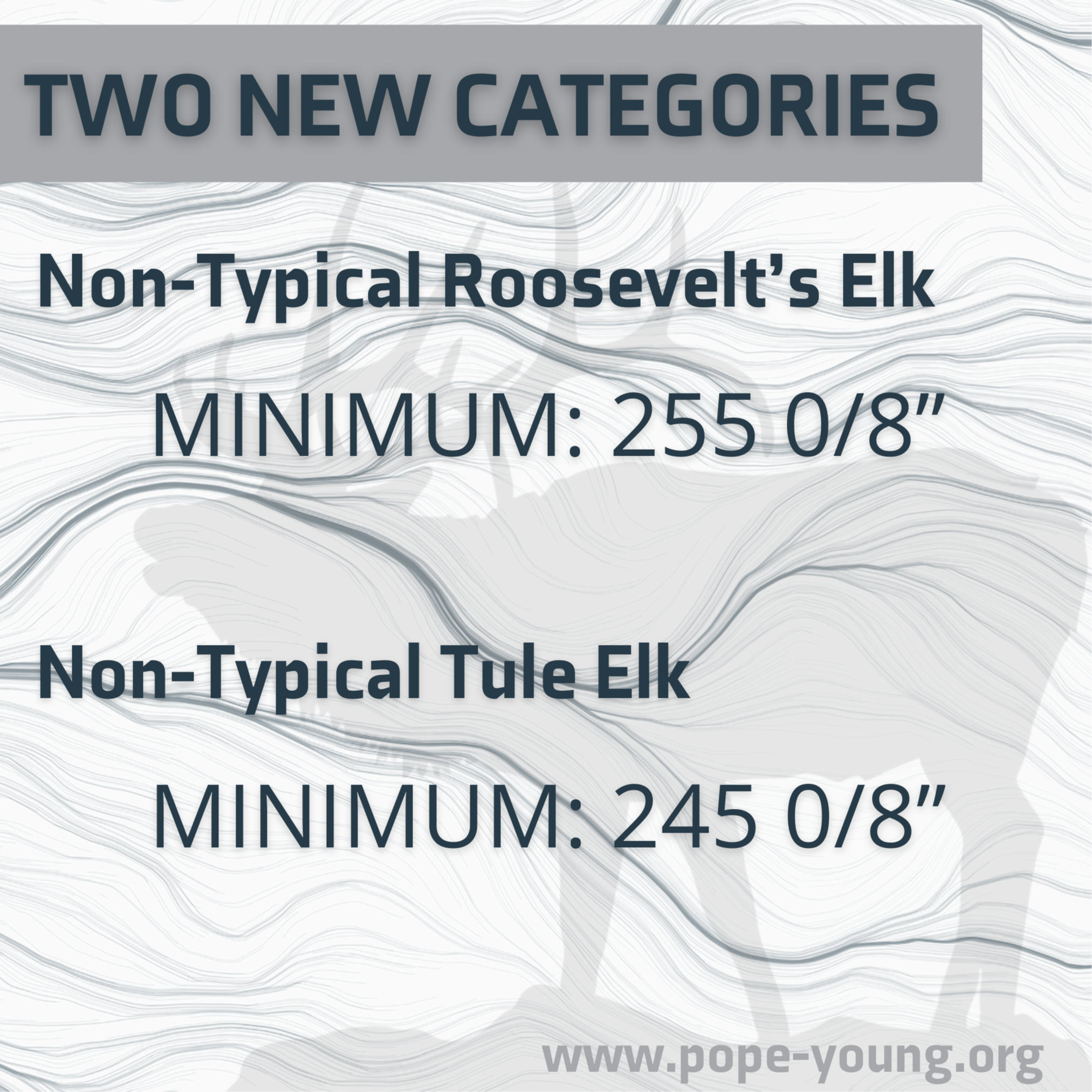 Pope and Young Announces Two New Categories